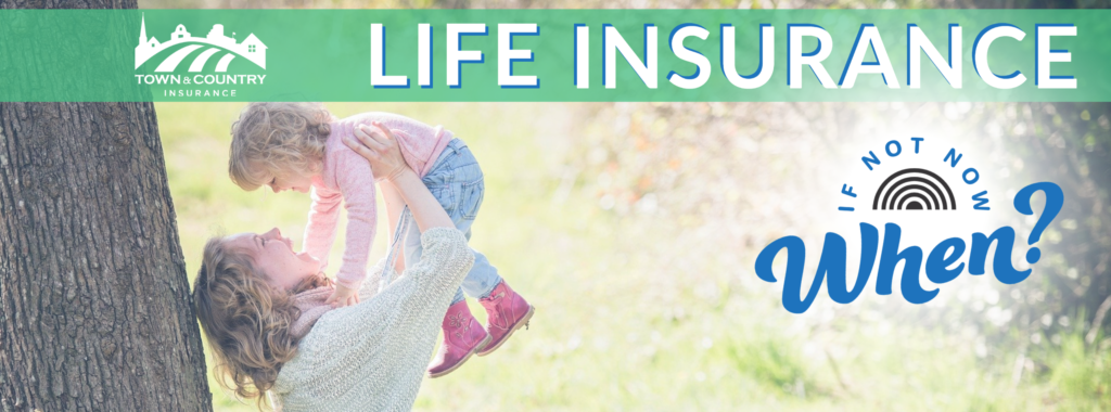 Life Insurance | Minnesota | (320) 733-1039 | Town & Country Insurance