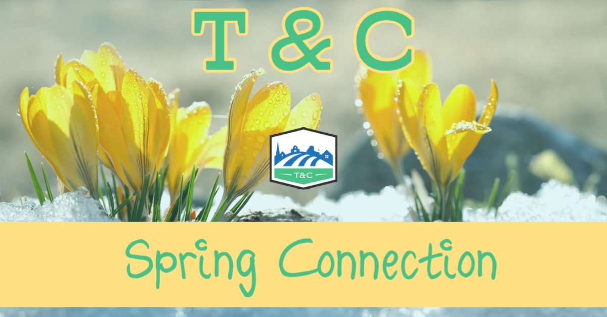 T & C Spring Connection 2022 - Town & Country Insurance